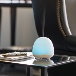 SpaRoom BellaMist Essential Oil Diffuser - Free Peppermint Oil ...