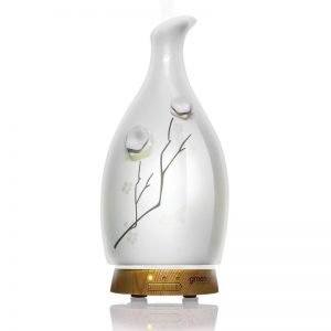 Ultrasonic GreenAir SpaMister Diffuser | Enchanted Aromatics