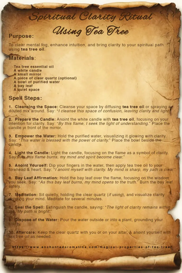 What Are The Magical Properties Of Tea Tree? | Enchanted Aromatics