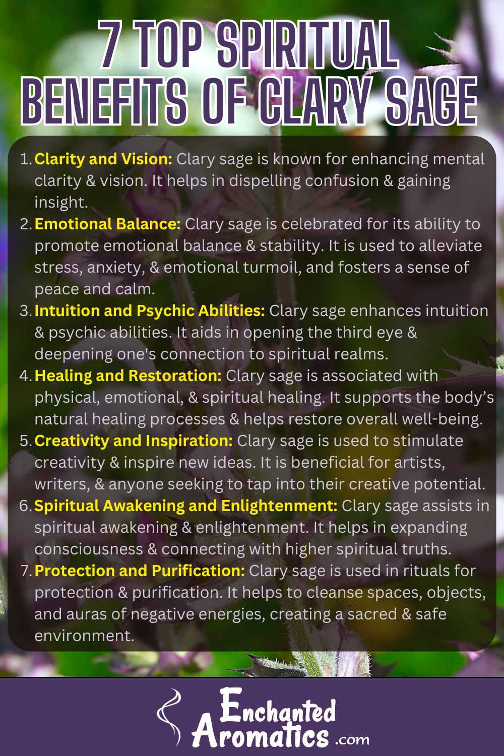 What Are The Magical Properties Of Clary Sage? | Enchanted Aromatics