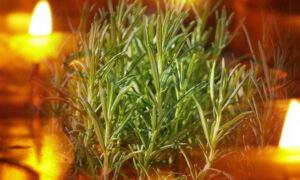What Are The Magical Properties Of Rosemary? | Enchanted Aromatics