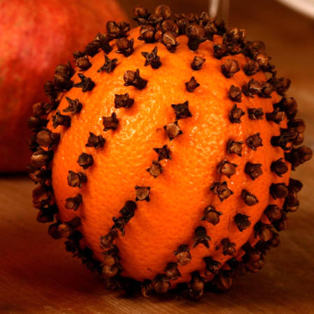 Magical Properties Of Oranges | Enchanted Aromatics