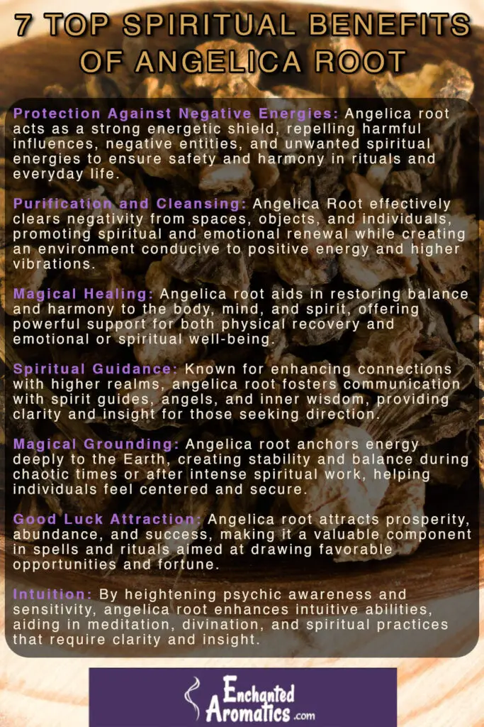 7 Magical Properties Of Angelica Root | Enchanted Aromatics