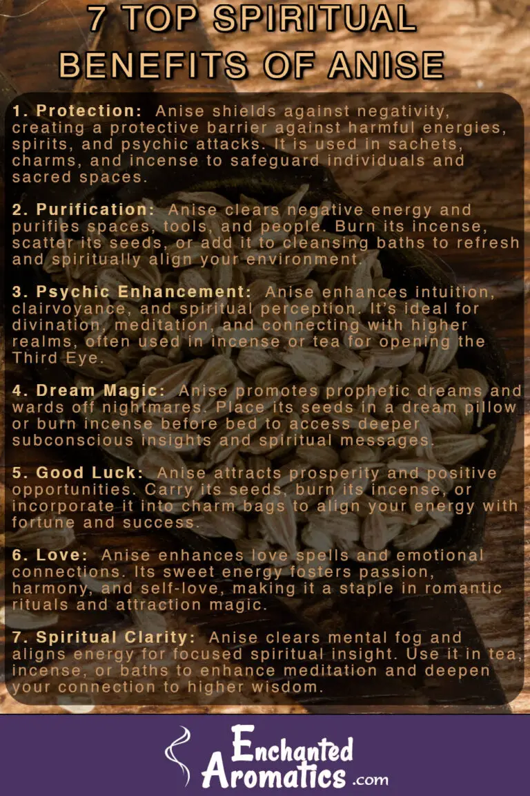 7 Magical Properties Of Anise | Enchanted Aromatics