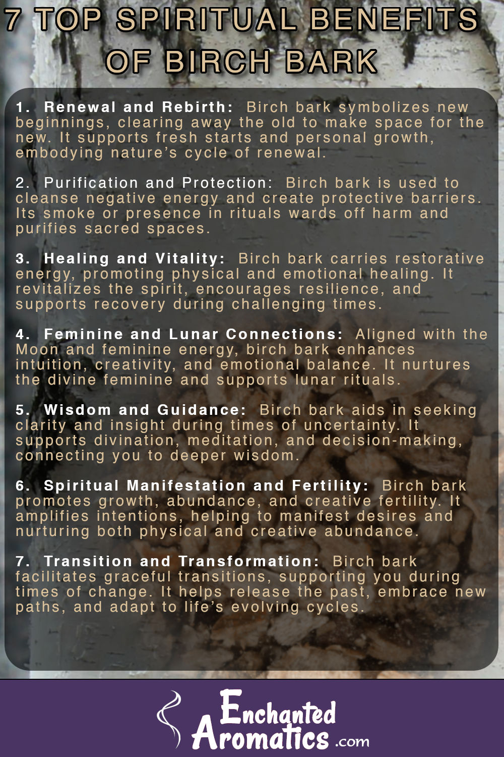 7 Magical Properties Of Birch Bark | Enchanted Aromatics