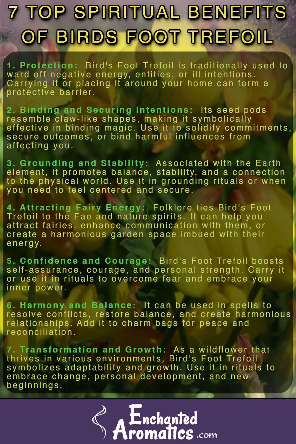 Please continue reading this article for a more in-depth discussion ...