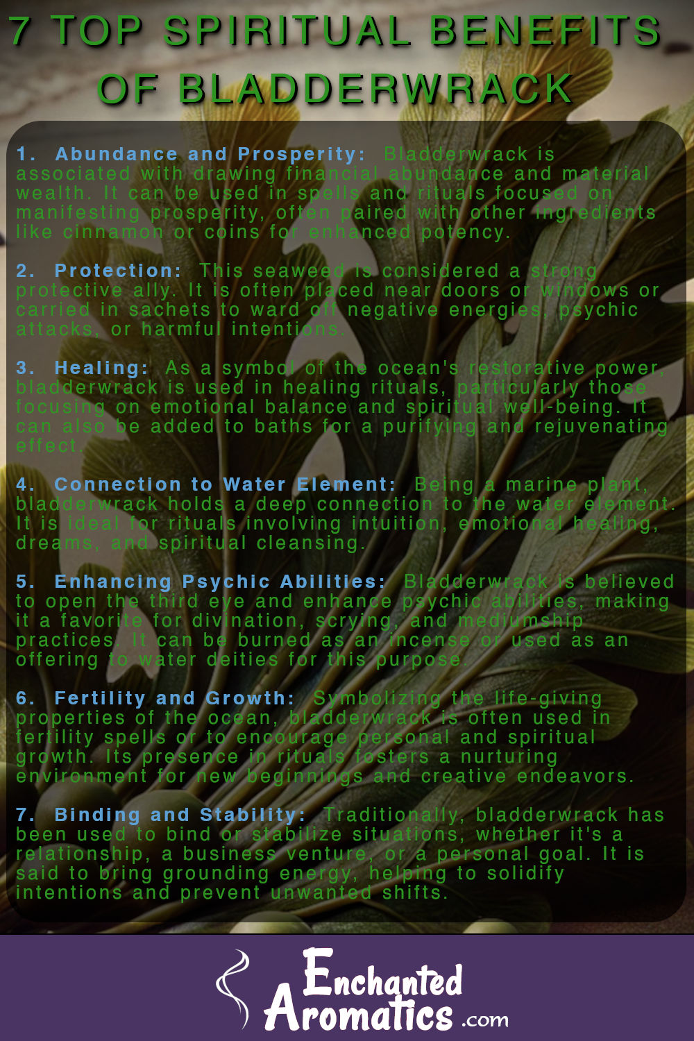 7 Magical Properties Of Bladderwrack | Enchanted Aromatics