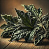 7 Magical Properties Of Black Nightshade | Enchanted Aromatics