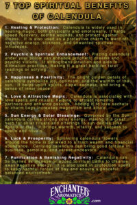 7 Magical Properties Of Calendula | Enchanted Aromatics